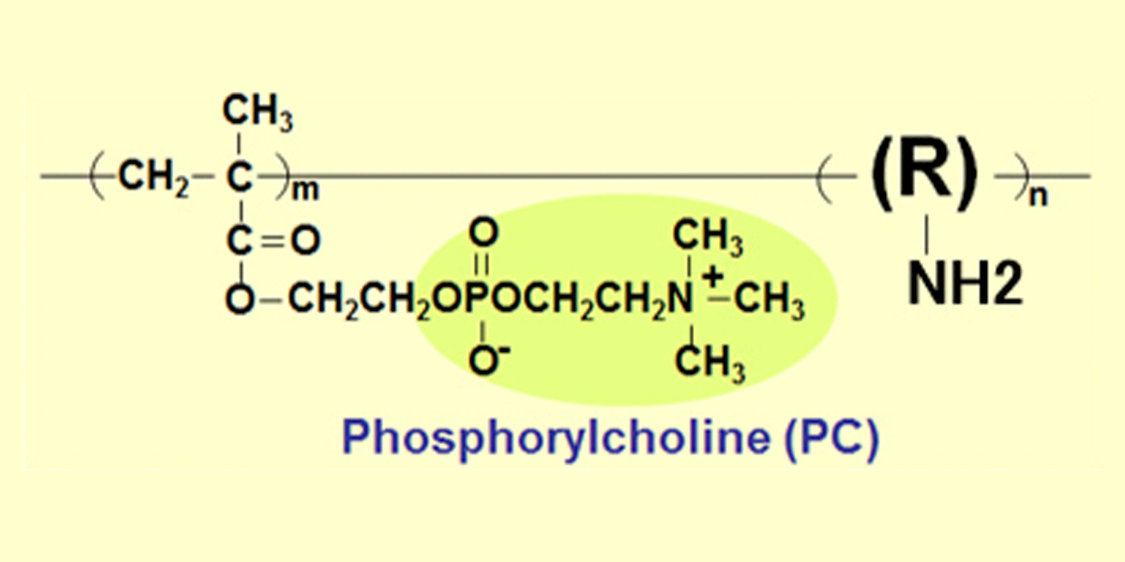 Lipidure®-NH01 – NOF AMERICA CORPORATION